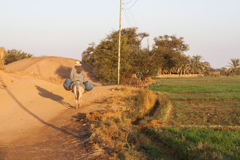 Dakhla, Egypt - December 25, 2006: Farmer Riding Donkey To the F ...