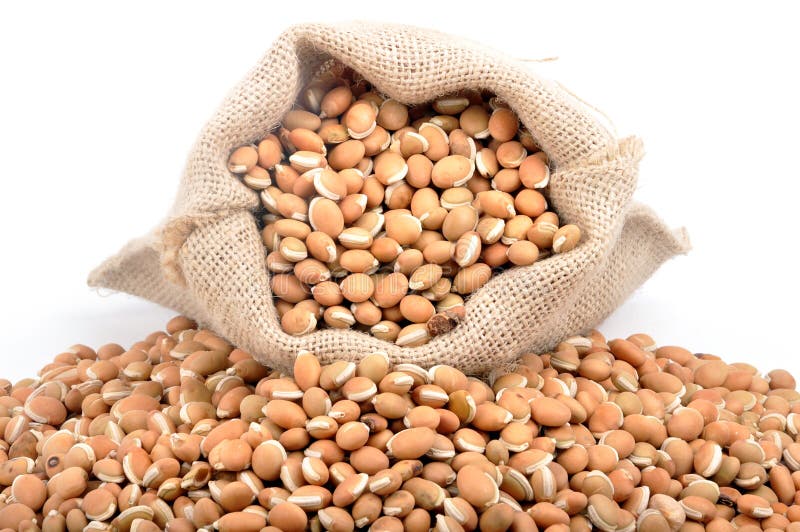 Dal stock image. Image of abstract, natural, shop, ingredient - 11050193