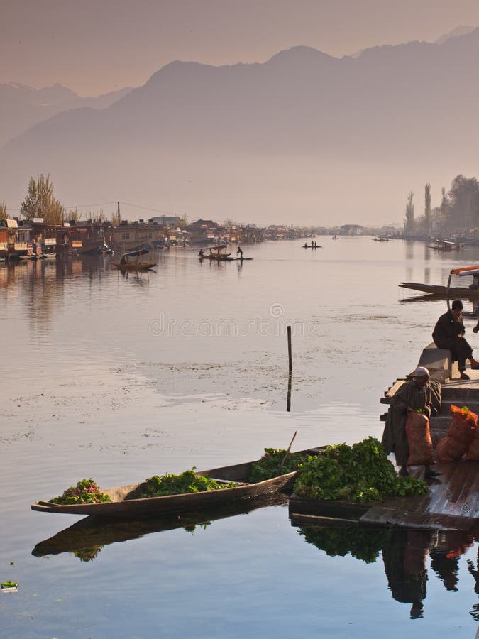 Early Morning Boating, Dal Lake Stock Image - Image of house, jammu ...