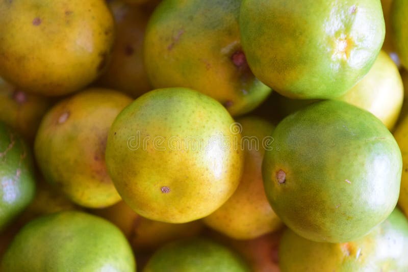 Dalandan Orange Stock Photos - Free & Royalty-Free Stock Photos from ...