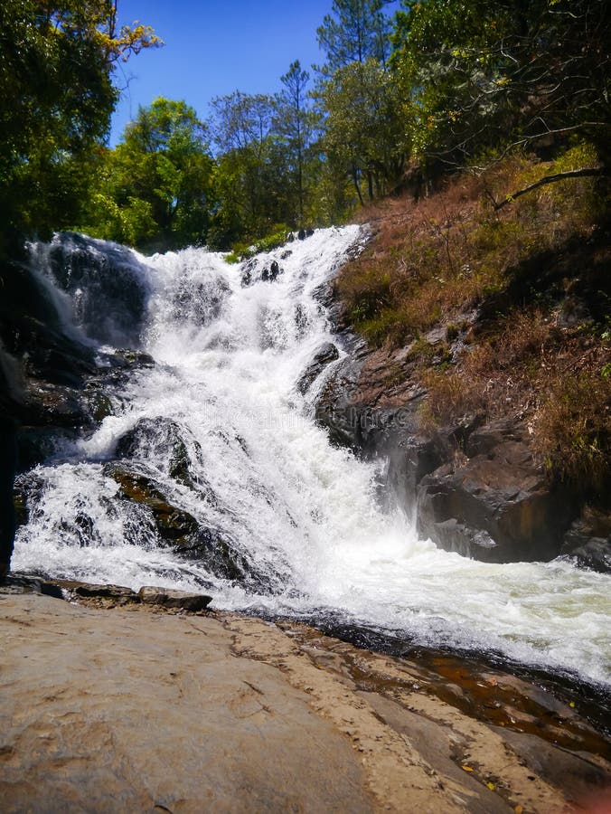Dalanta Waterfall and Forest in Dalat, Vietnam in Spring Season Stock ...
