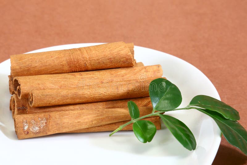 Dalchini or Cinnamon Sticks, Indian Spice Stock Image - Image of revei ...