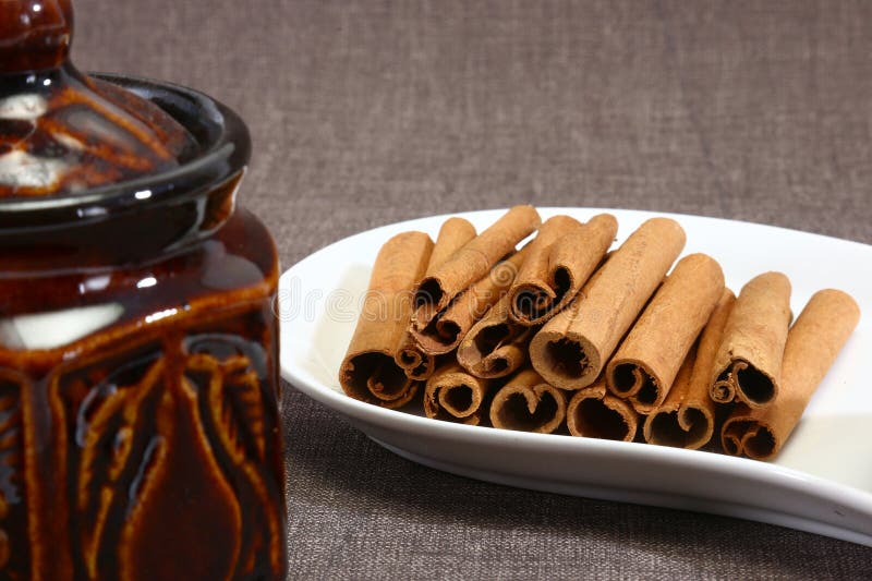 Dalchini or Cinnamon Sticks, Indian Spice Stock Image - Image of indian ...
