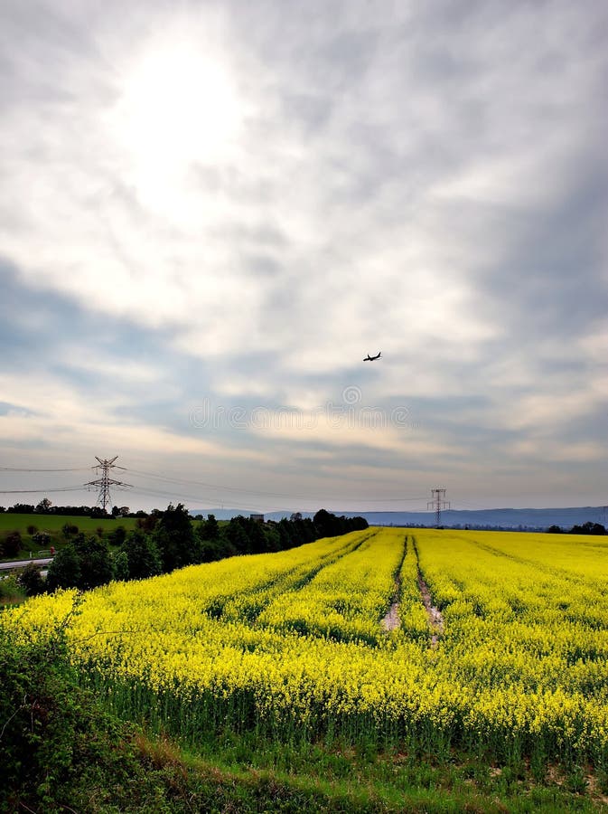 Dalend vliegtuig stock foto. Image of reis, vliegtuigen - 9138984