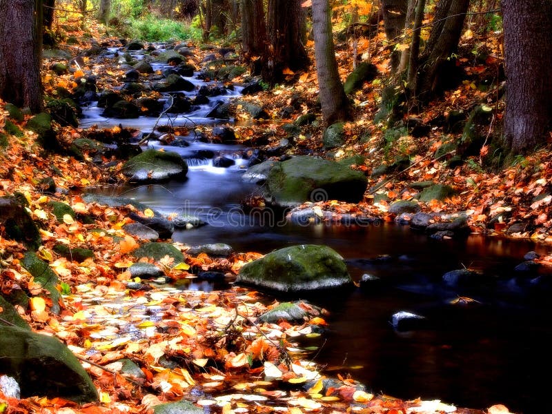 Dalend weer stock afbeelding. Image of daling, hout, vallen - 3131427