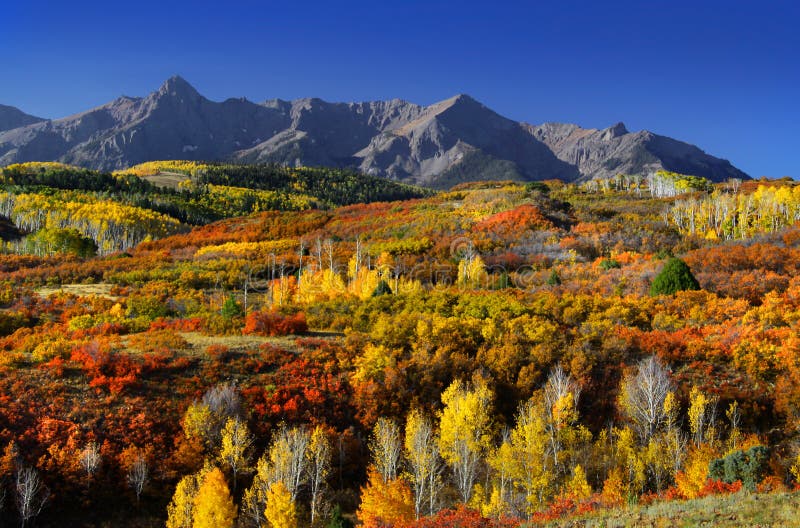 Dallas Divide, Uncompahgre National Forest, Colorado Stock Photo ...