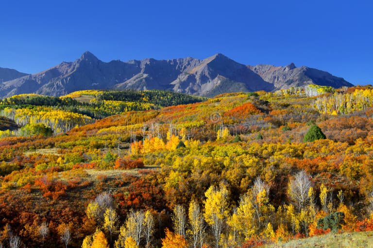 Dallas divide stock image. Image of yellow, dallas, mountains - 21218375