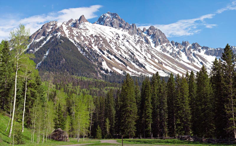Dallas Divide stock image. Image of tree, ouray, juan - 4081655