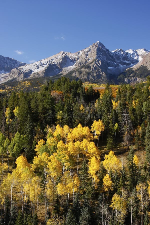 Dallas Divide, Uncompahgre-staatlicher Wald, Colorado Stockbild - Bild ...