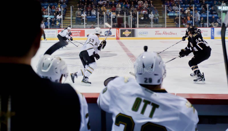 Dallas Stars Steve Ott Watching Teammates Editorial Stock Image - Image ...