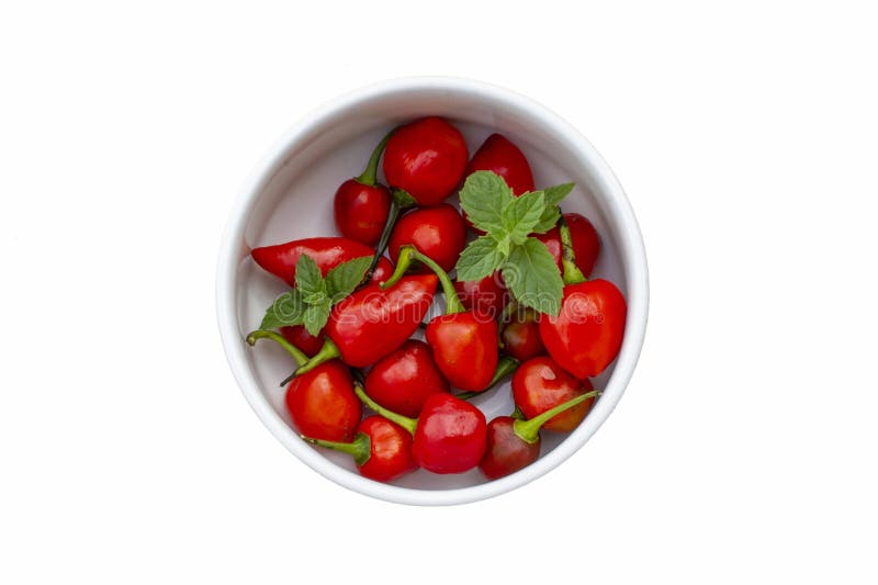 Dalle Khursani, Red Chilli and Mint in White Bowl Stock Photo - Image ...