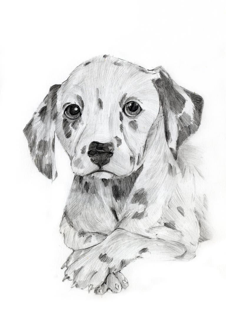 Crayon Dog Drawing Stock Illustrations – 1,865 Crayon Dog Drawing Stock ...