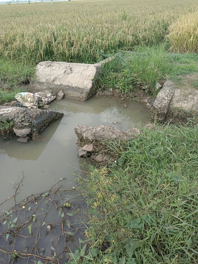 Dam Arrangement of Waterways for Water Circulation in the Fields Stock ...