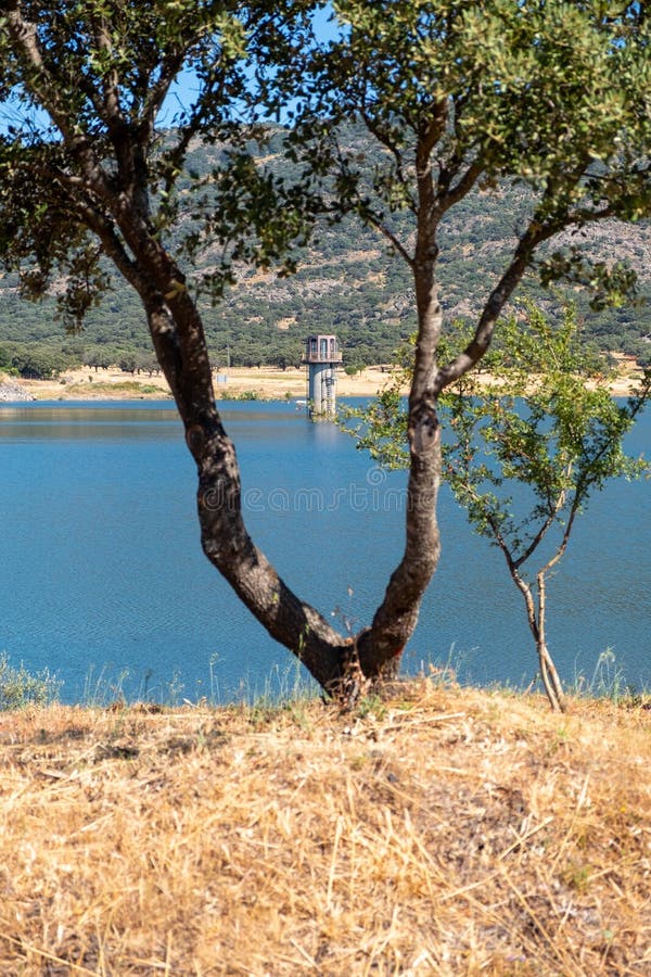 A Dam Control Tower in the Middle of the Swamp Stock Image - Image of ...