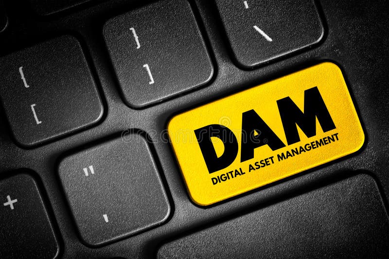 DAM Digital Asset Management - Business Process and an Information ...