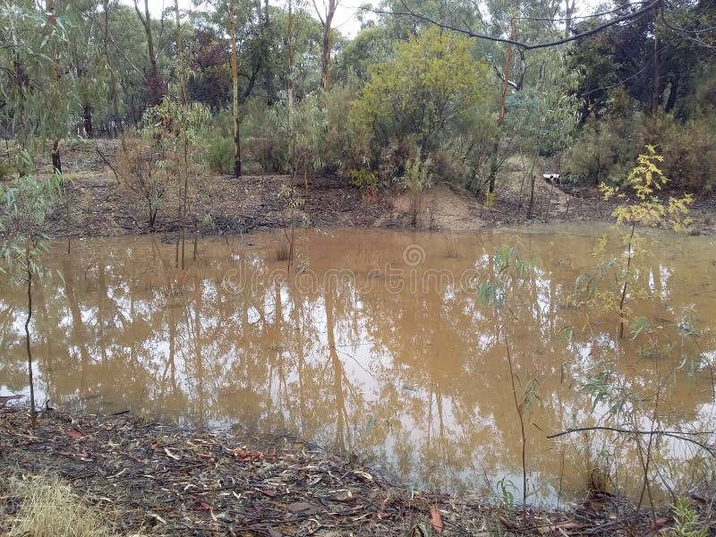 Dam Filling after Rain stock image. Image of amount - 174617377