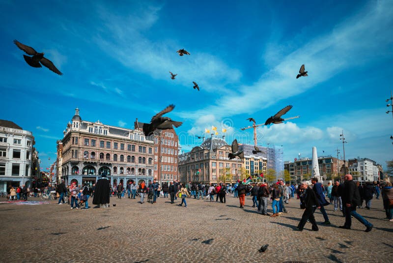 Dam Square in Amsterdam with Crowd and Flying Pigeons Editorial Stock ...