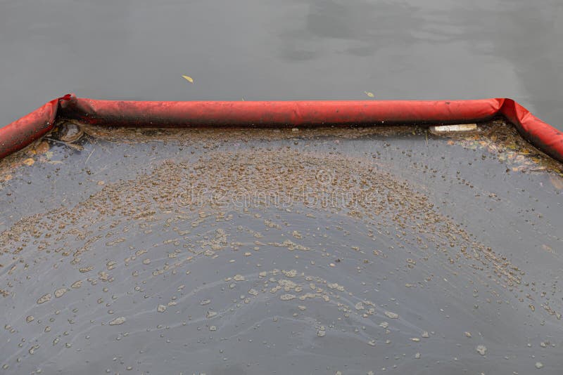Dam for Water Purification in the River Stock Image - Image of river ...