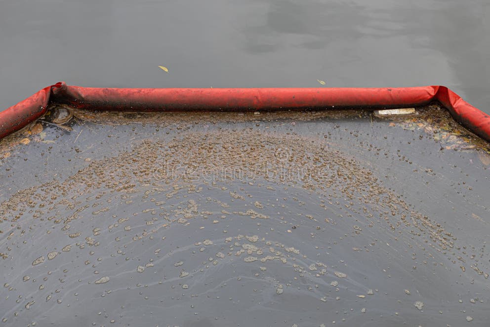 Dam for Water Purification in the River Stock Image - Image of river ...
