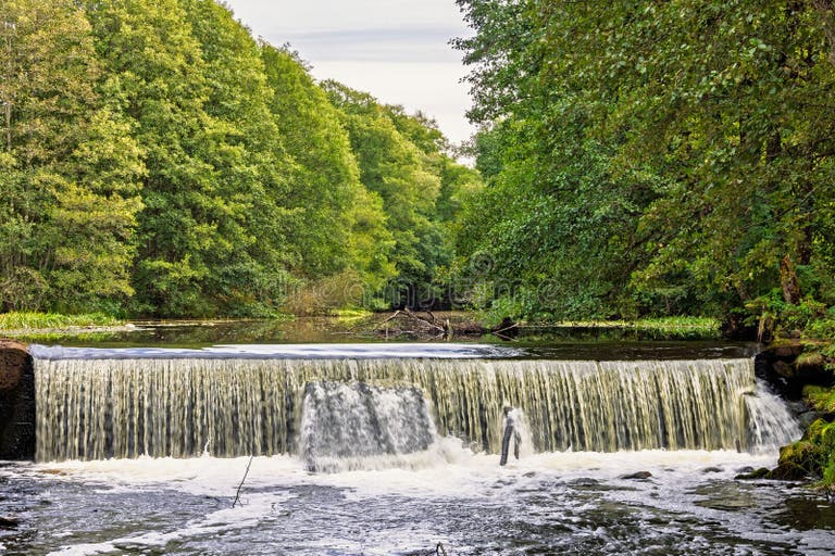 Dam Waterfall in a River at a Deciduous Forest in the Summer Stock ...
