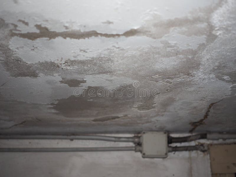 Dampness moisture on wall stock image. Image of weather - 107075533