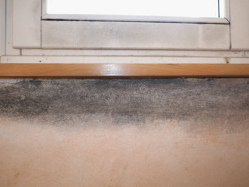 Dampness moisture on wall stock image. Image of dankness - 210931291