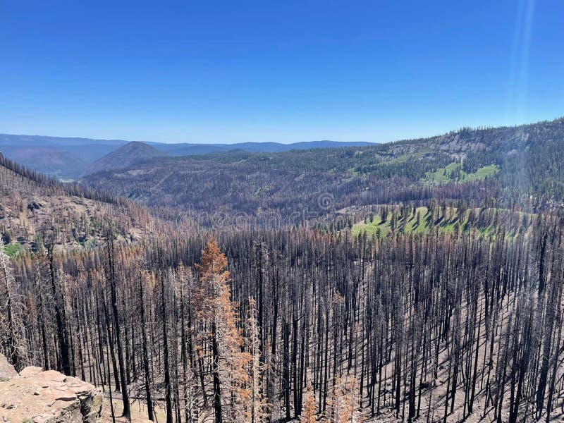 Damage Caused by the 2021 Dixie Fire in Lassen Volcanic National Park ...