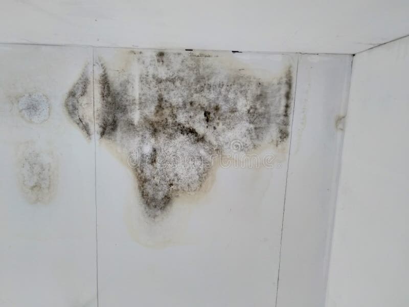 Damage House Leak Water from Ceiling Stock Photo - Image of room ...