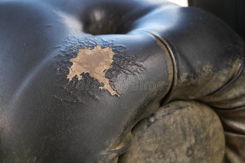 145 Leather Sofa Restoration Stock Photos - Free & Royalty-Free Stock ...