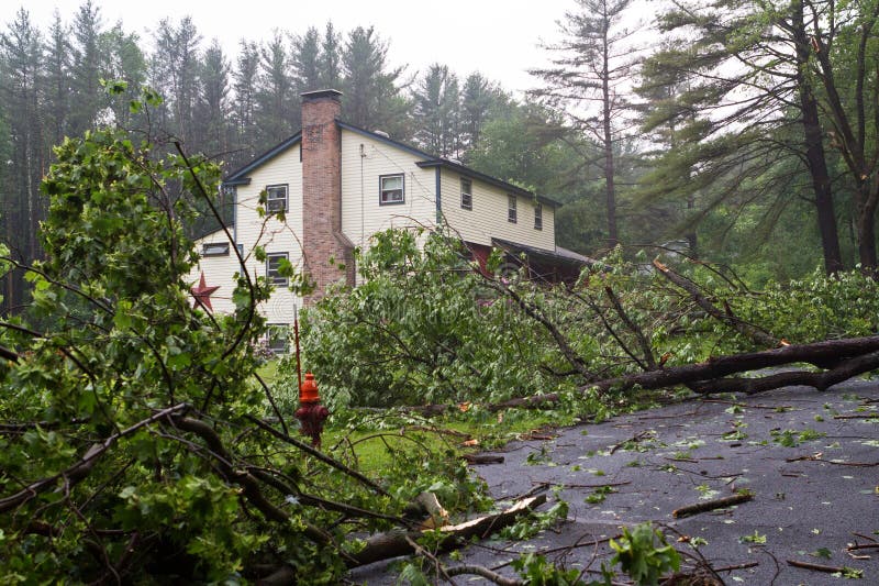 Damage after a Powerful Windstorm Stock Photo - Image of splinter ...