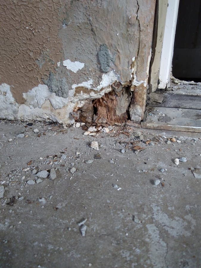 Damage To Lower Corner of Door Jam Stock Image - Image of clover ...