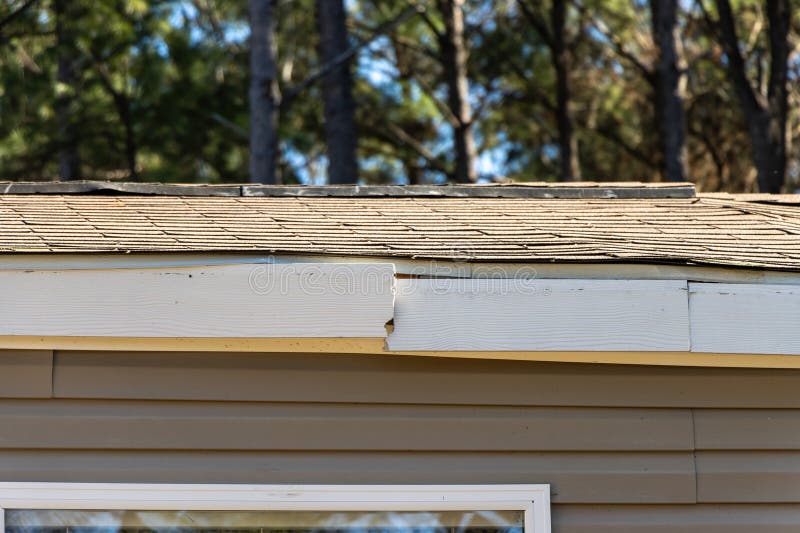 Roof Damage from Tree Falling Stock Image - Image of tree, falling ...