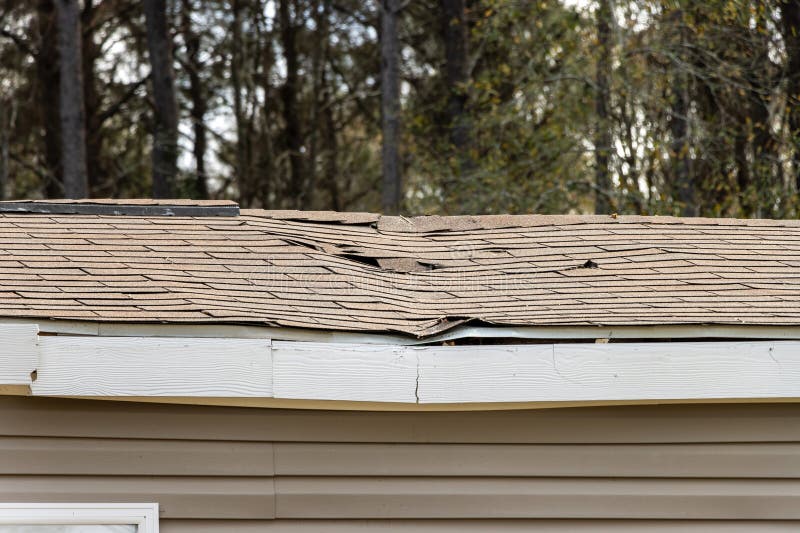 Roof Damage from Tree Falling Stock Photo - Image of tree, roofer ...