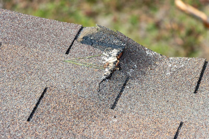 Roof Damage from Tree Falling Stock Image - Image of deck, damage ...