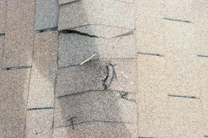 Roof Damage from Tree Falling Stock Image - Image of construction ...