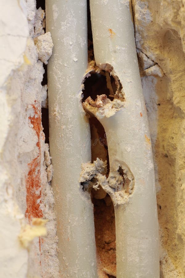 Rodent Damage Wiring Stock Photos - Free & Royalty-Free Stock Photos ...