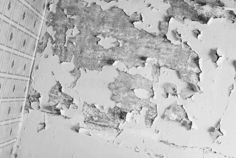 Damaged Ceiling of Apartment Stock Image - Image of mildew, flat: 210070653