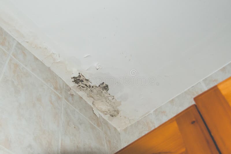 Damaged ceiling with water stock image. Image of damaged - 160818693