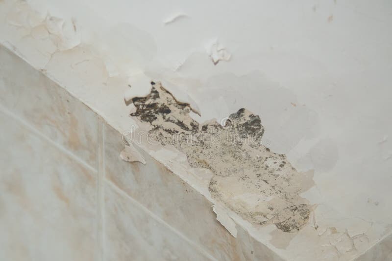 Damaged ceiling with water stock image. Image of dampness - 160818723