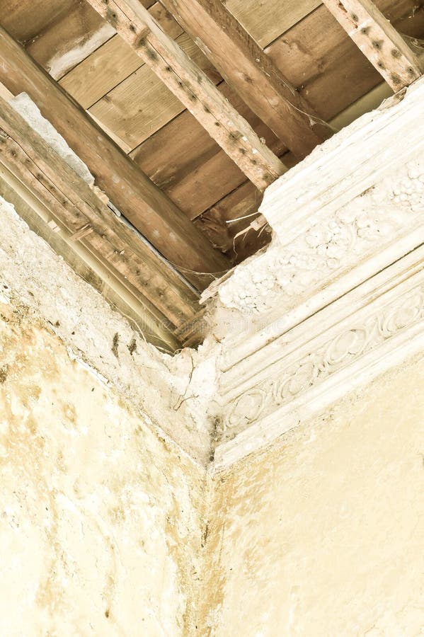 Interior decay stock image. Image of decay, home, fungi - 38328667