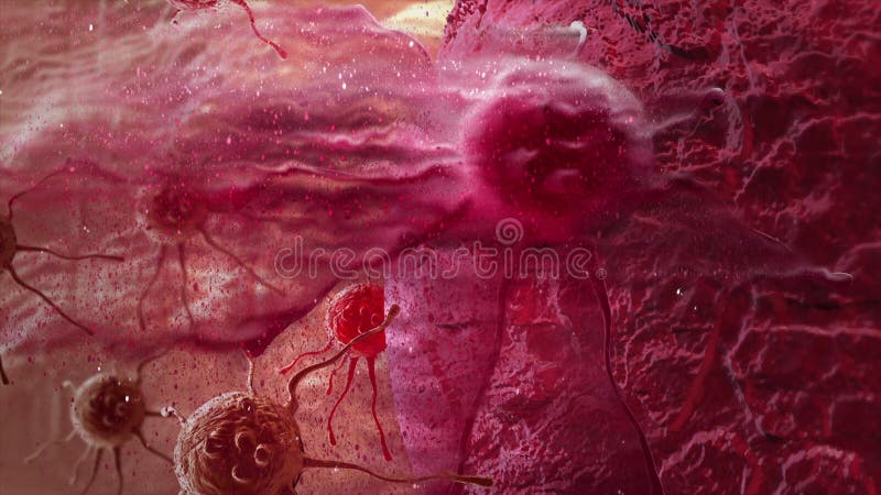 A Damaged and Disintegrating Cancer Cell Stock Footage - Video of ...
