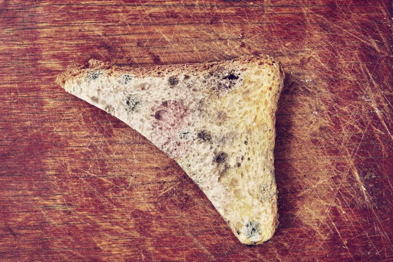 Damaged Dried Bread Covered with Mold Stock Photo - Image of loaf ...