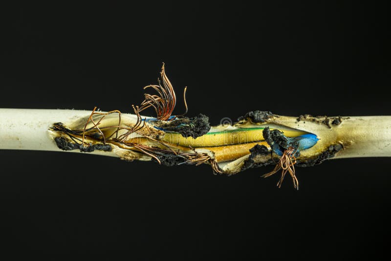 Damaged electrical cable stock photo. Image of damaged - 343961592