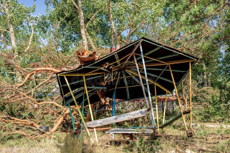 Damaged Gazebo Under Fallen Tree after Summer Hurricane in Forest ...