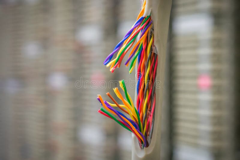 Telecommunication cable stock photo. Image of communication - 10150142