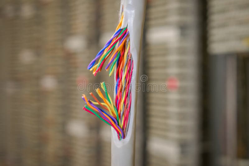 Telecommunication cable stock photo. Image of communication - 10150142