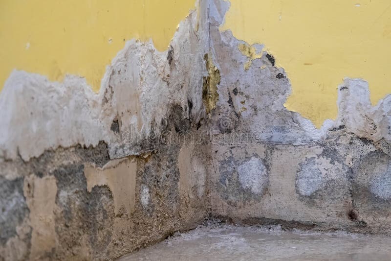 A Damaged Interior Wall Corner with Peeling Paint and Visible ...