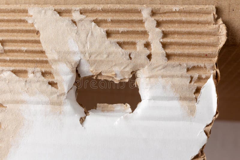 Torn Cardboard Box Inside View Stock Photo - Image of insurance, office ...