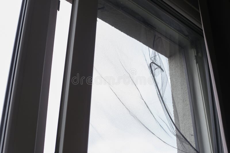 Broken Mosquito Screen Stock Photos - Free & Royalty-Free Stock Photos ...