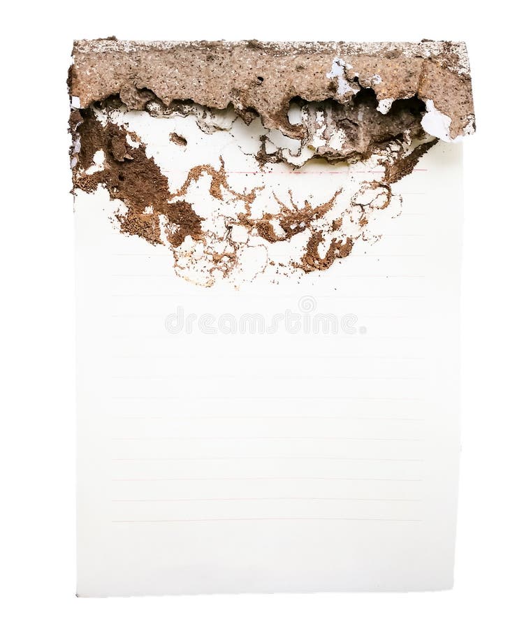 Damaged Paper Eaten Termite Stock Photos - Free & Royalty-Free Stock ...